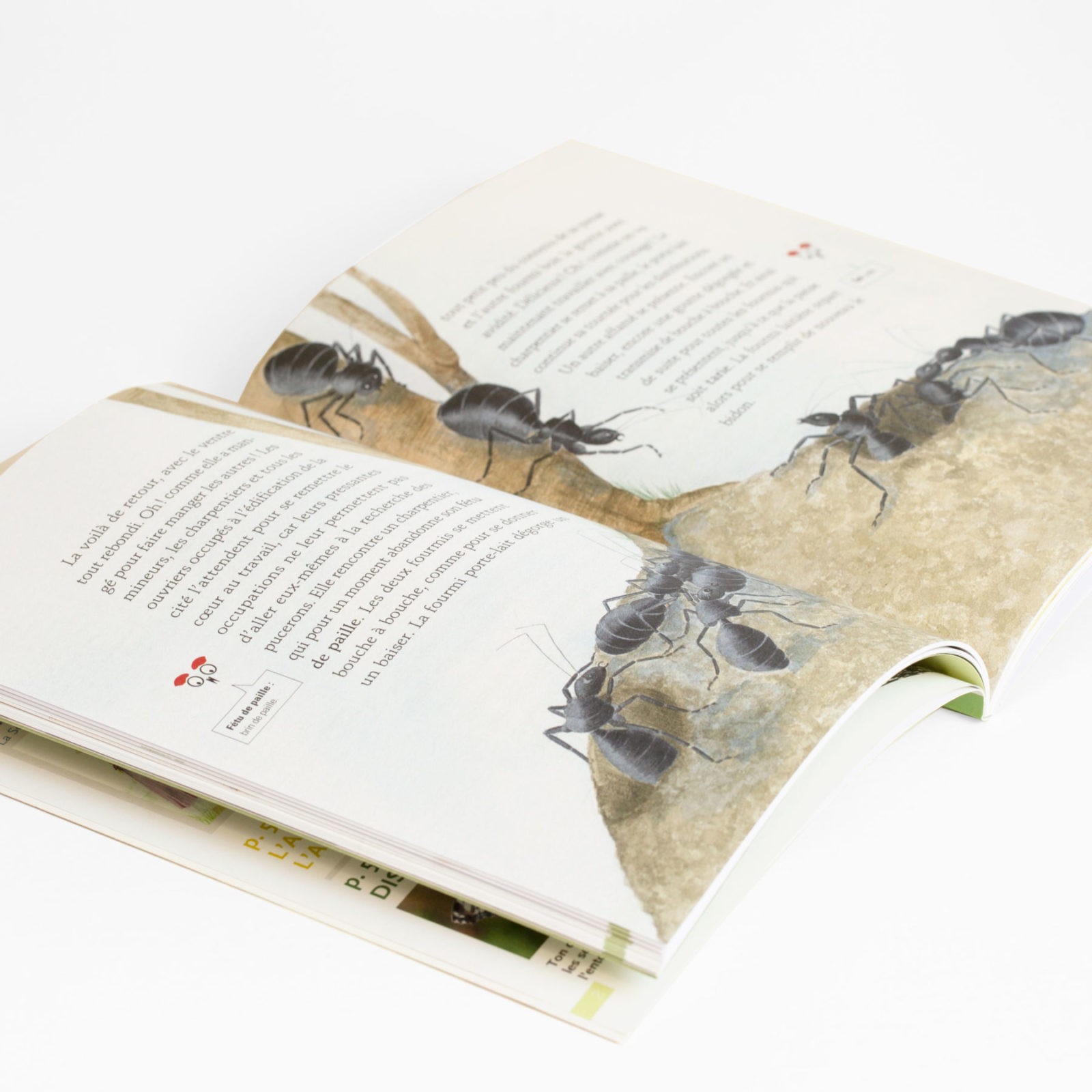 N°35. Insectes - Jean Henri Fabre - TetrasLire