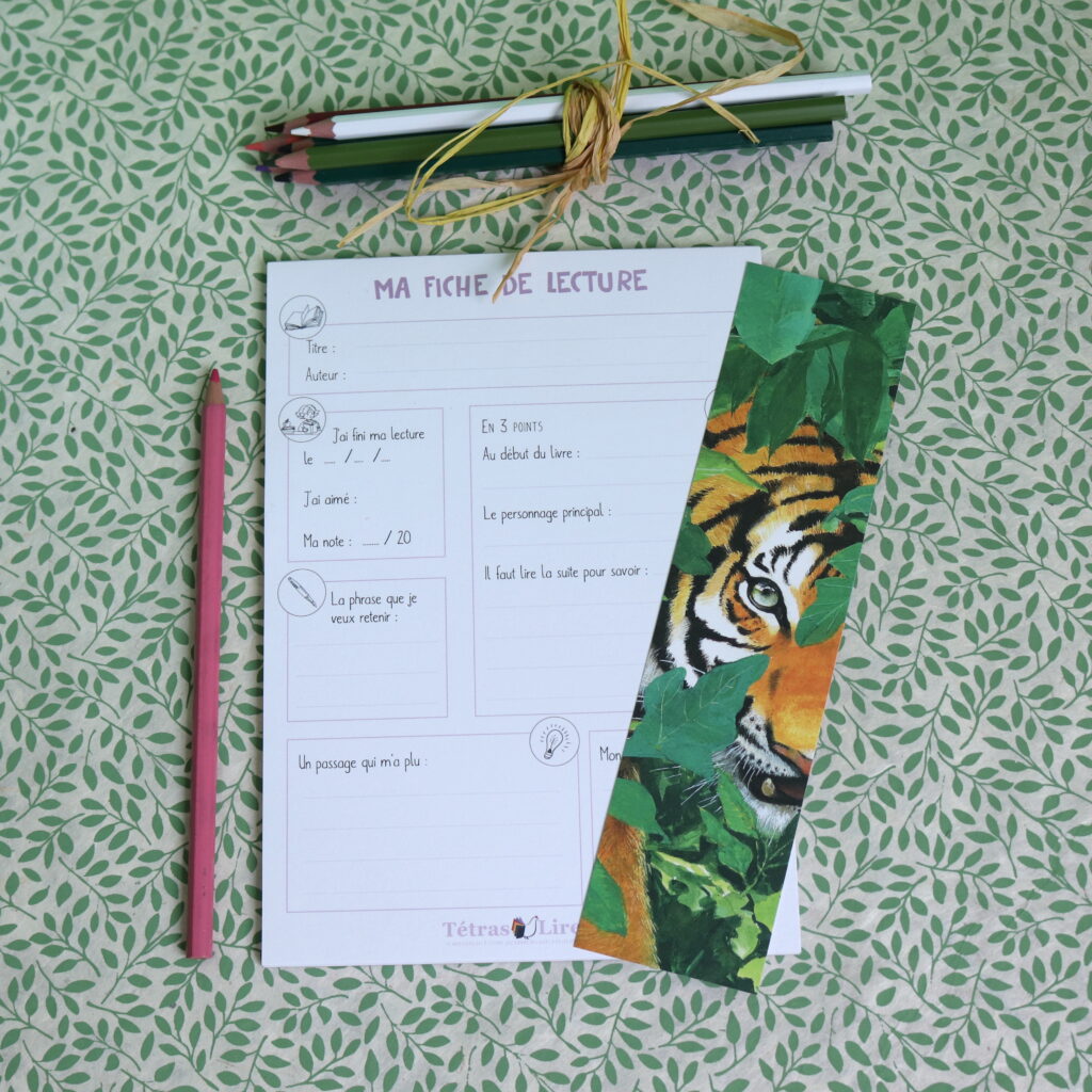 Kit du parfait lecteur - TetrasLire